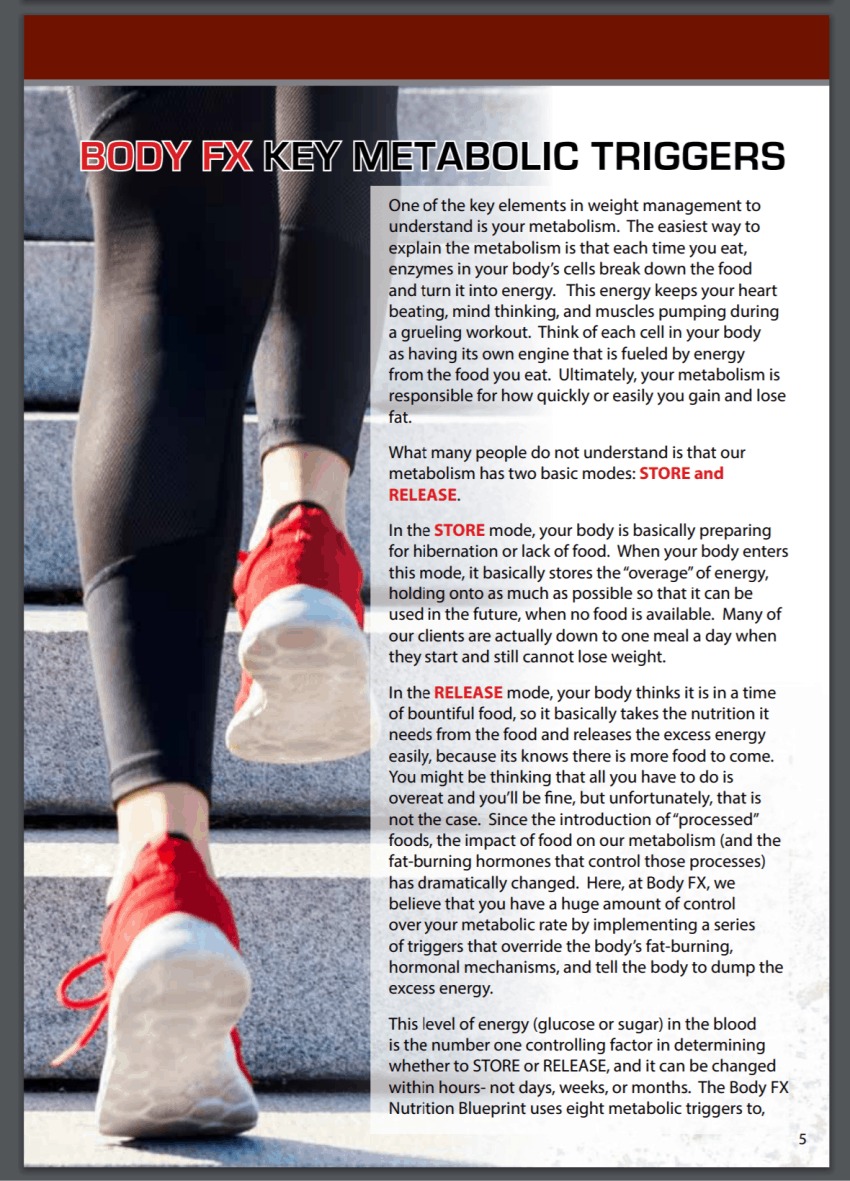 An Honest Review of the NEW Body FX (an all-in-one at-home workout program)